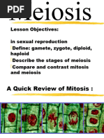 2 Understanding Genetic Variation and Random Fertilisation | PDF ...