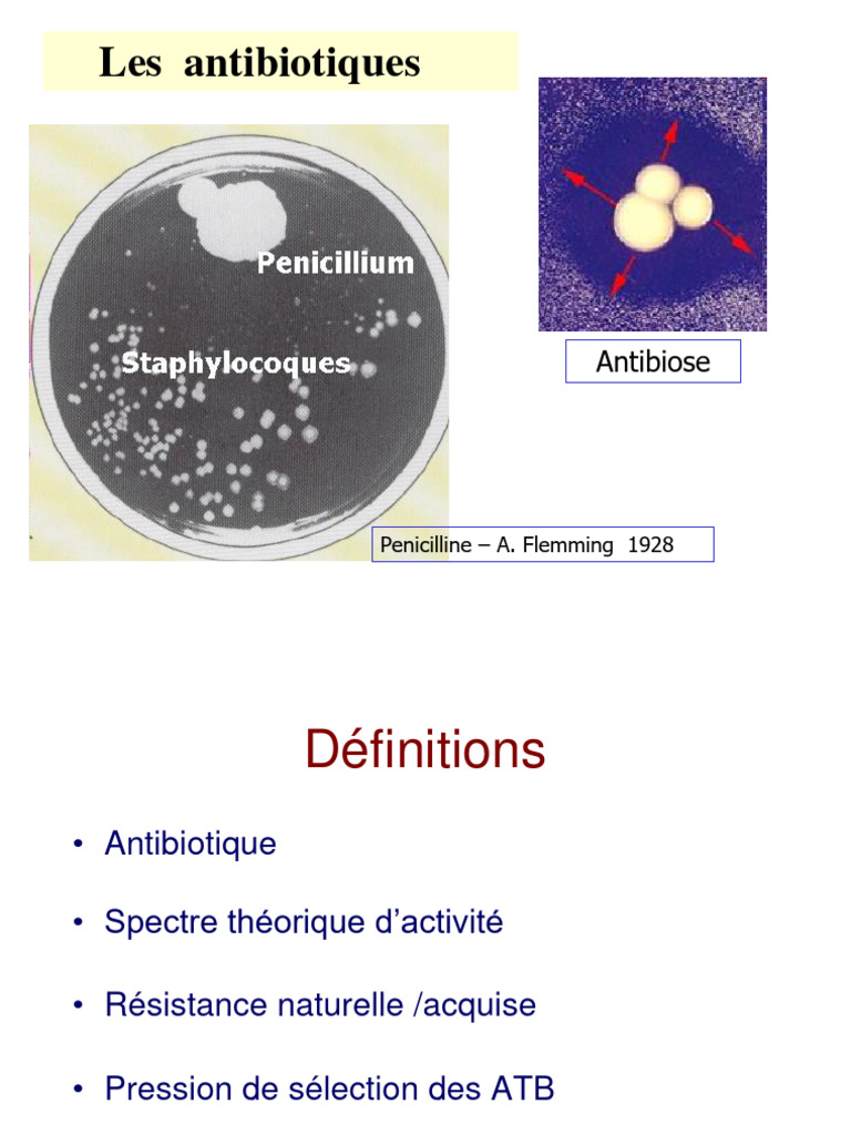 Spectre et résistance des antibiotiques | PDF | Pénicilline | Médecine ...