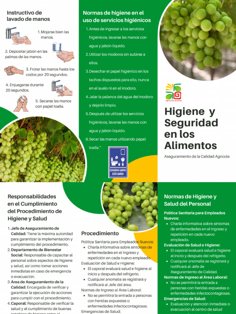Triptico-Higiene y Seguridad en Los Alimentos | PDF