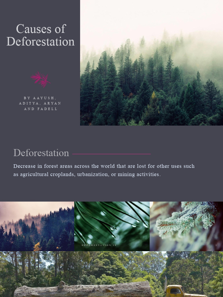 Deforestation Pdf Deforestation Forests