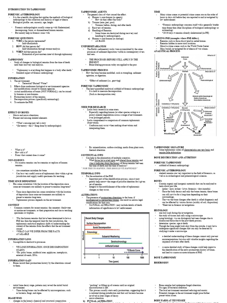 Forensic Taphonomy | PDF | Decomposition | Soil