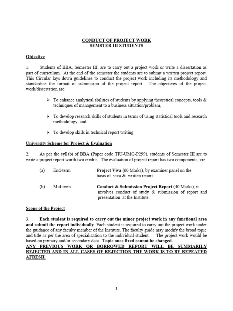 Minor Project Guidelines | PDF | Data | Thesis