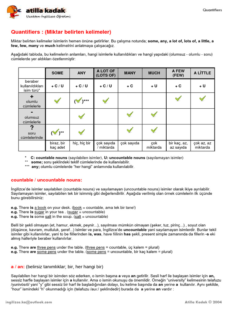 (C) Quantifiers - I | PDF
