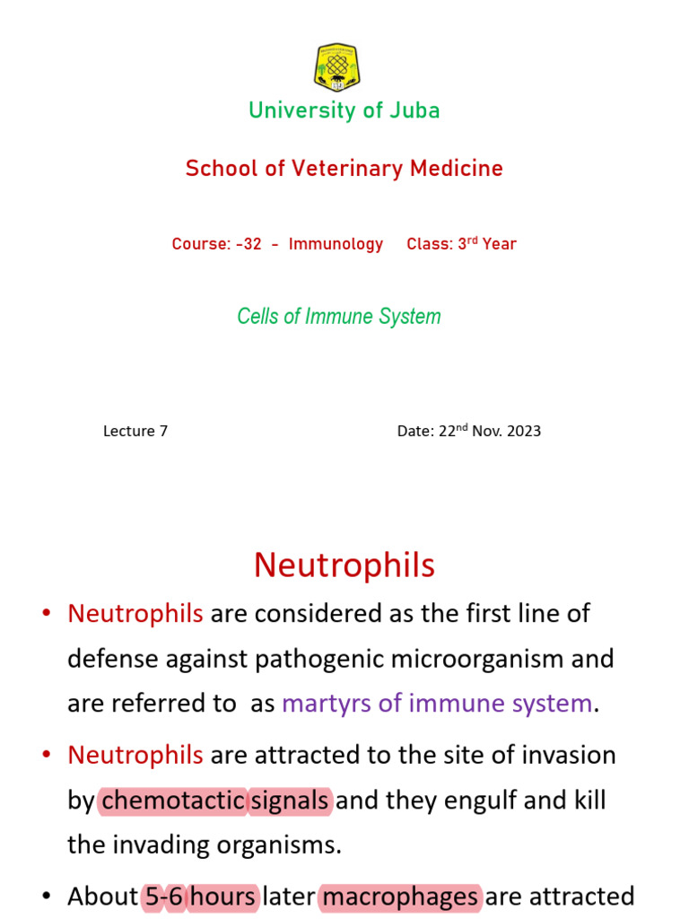 Lecture 7-2 | PDF | Granulocyte | Macrophage