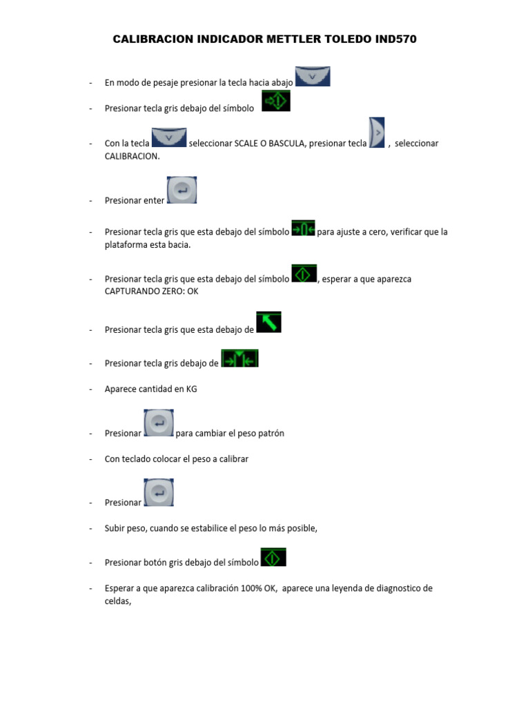 Calibracion Indicador Metller Toledo Ind570 | PDF