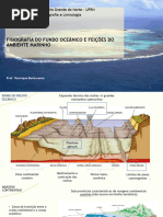 Formas do Relevo Submarino e Suas Características | PDF | Ciências ...