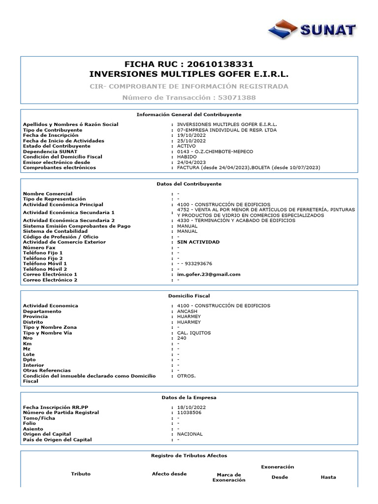 Ficha Ruc - Gofer | PDF | Economias | Industrias de servicio