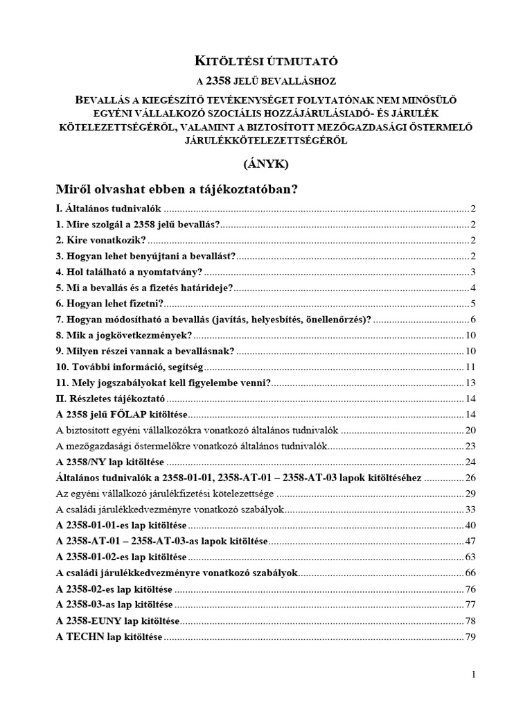 2358 ÁNYK Kitöltési Útmutató 6 - 0 | PDF