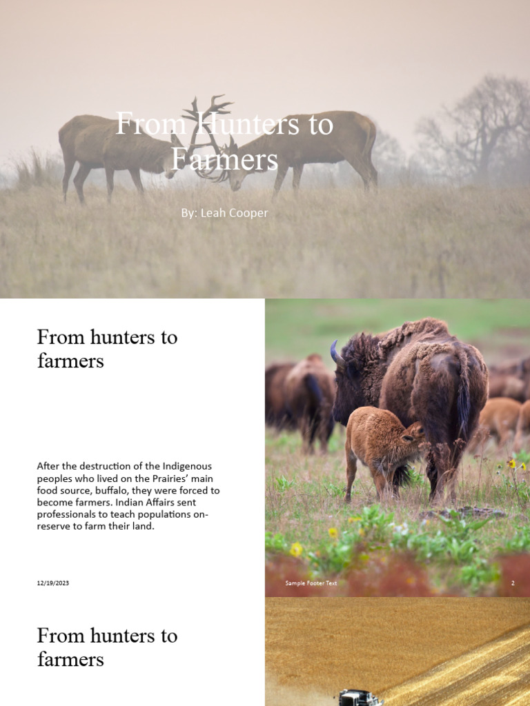 From Hunters To Farmers | PDF | Agriculture