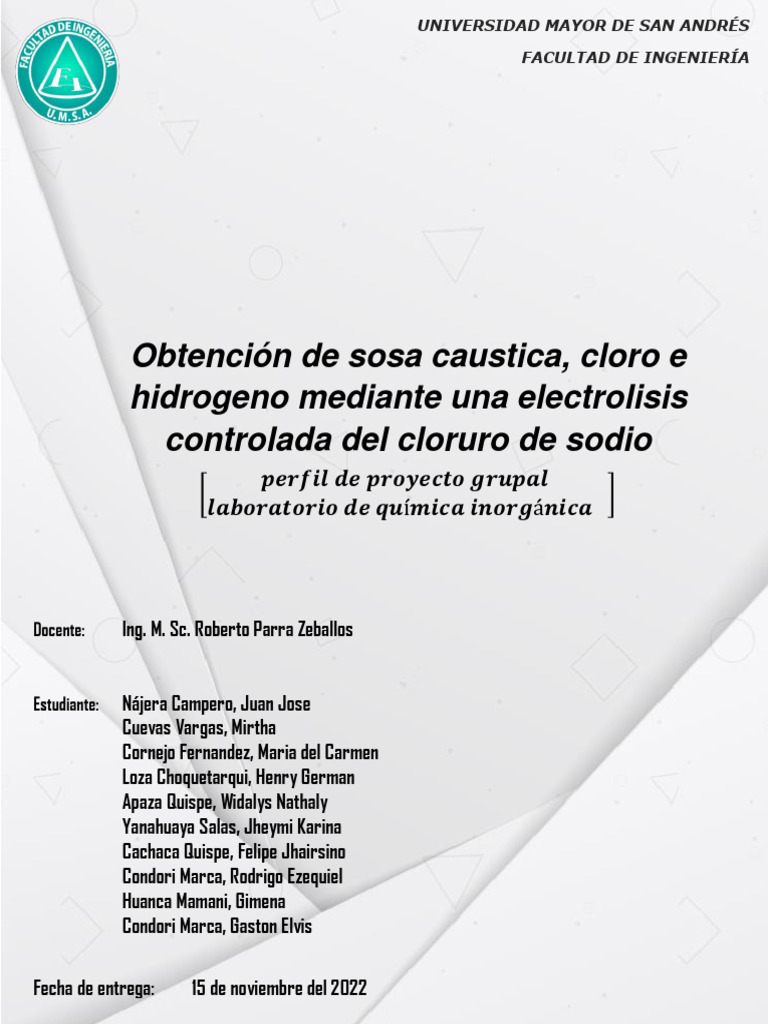 Informe de Prfil de Proyecto Finl-4 | PDF