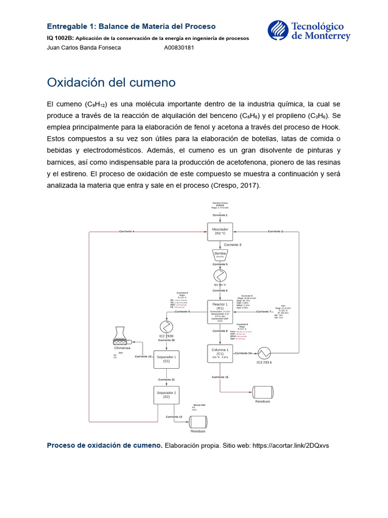 Balance de Materia Del Proceso de Síntesis de Cumeno | PDF | Benceno ...