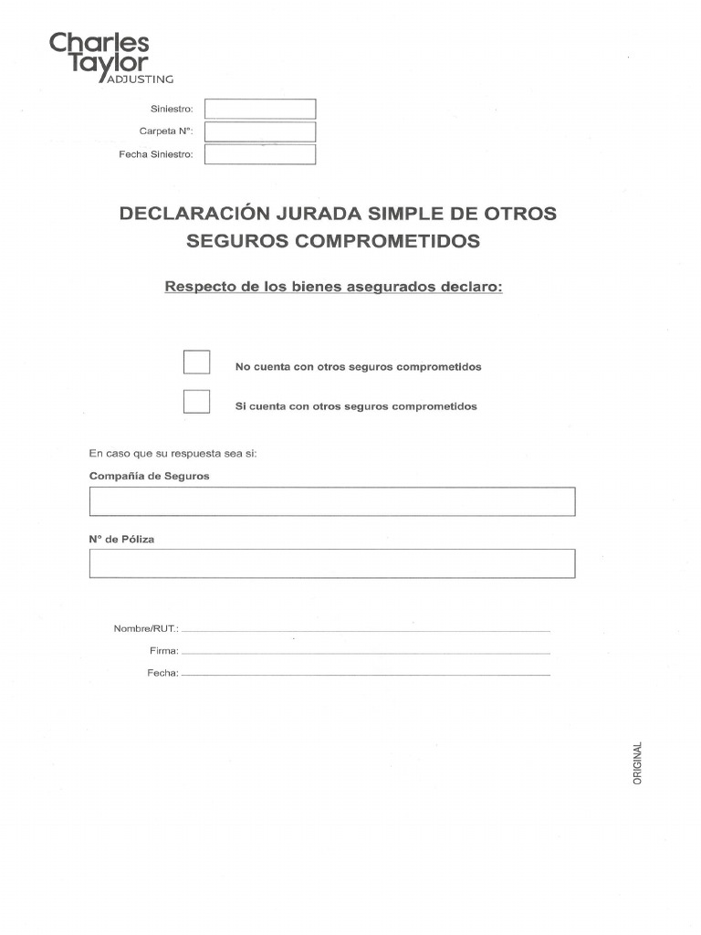 FORMATO DECLARACIÓN JURADA SIMPLE Y RELATO DE LOS HECHOS | PDF