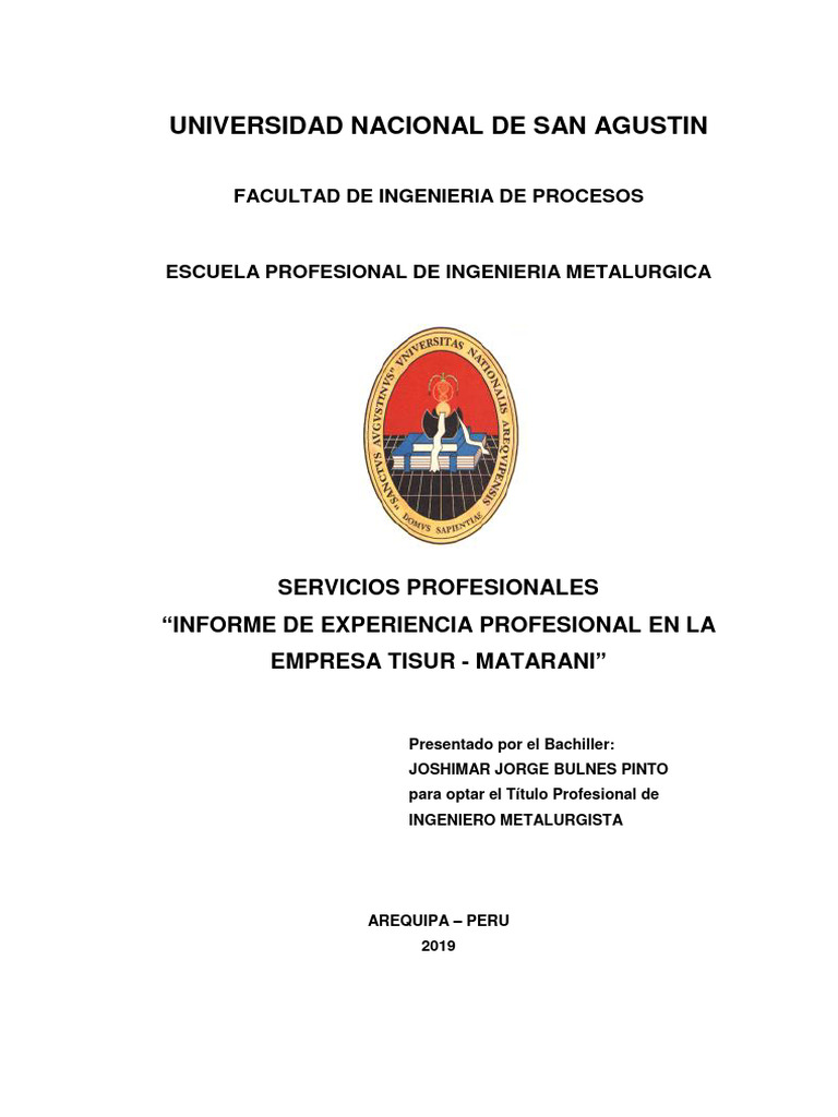 Informe de Experiencia Profesional en La Empresa Tisur-Matarani | PDF ...