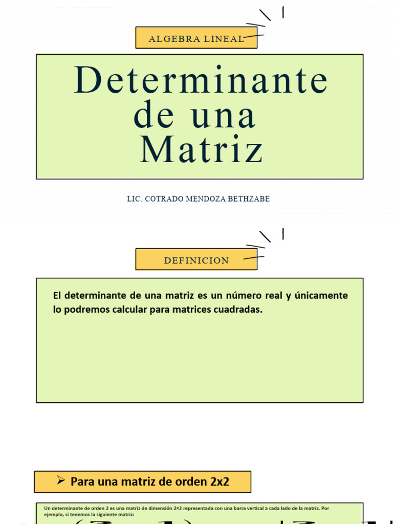 Cálculo de Determinantes de Matrices | PDF | Determinante | Matriz ...