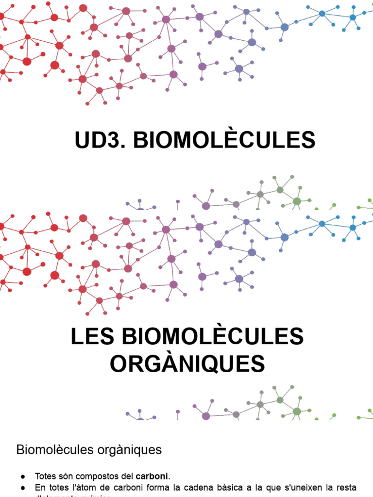 Biomolècules | PDF