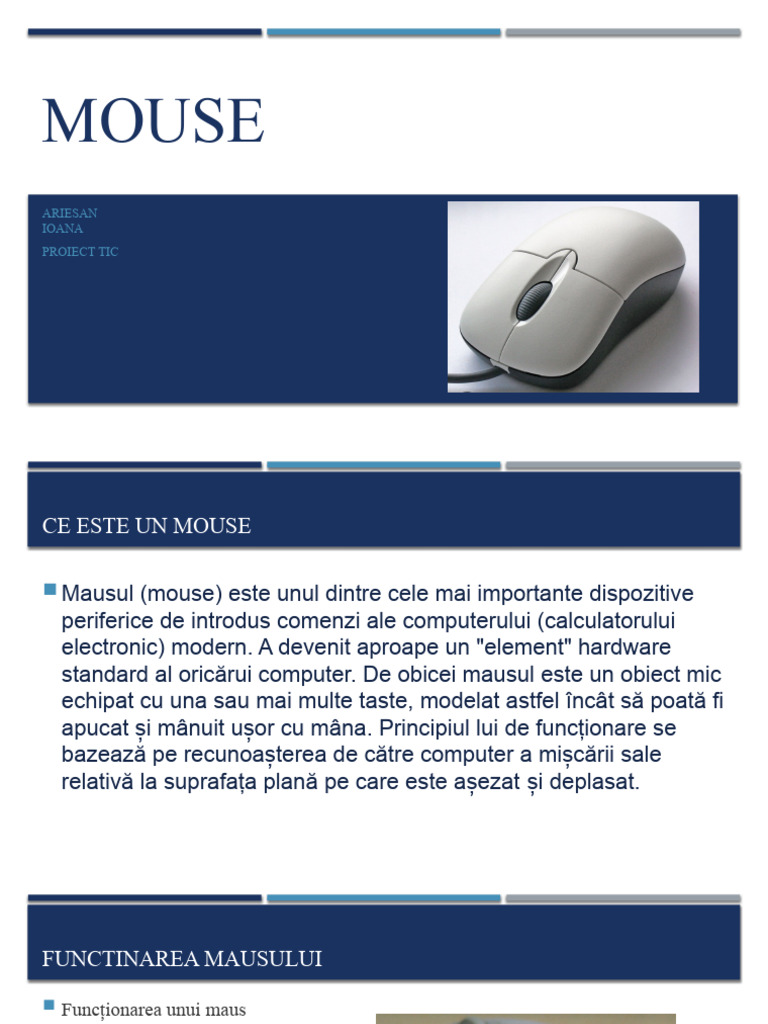Mouse | PDF