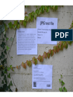 Procès-Verbal (PV) D'ouverture Des Plis | PDF