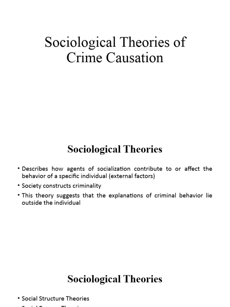 Sociological Theories of Crime Causation | PDF