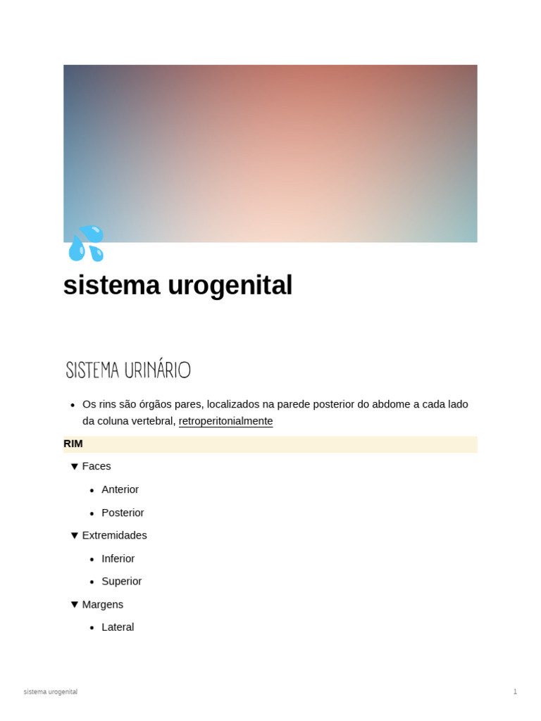sistema urogenital e124c9afa8764e1b8137946177dac72e (1) | PDF | Rim | Próstata