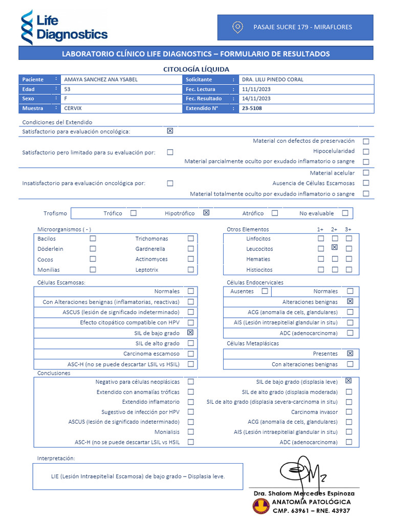 5108 Amaya Sanchez Ana Ysabel - Cito | PDF | Epidemiología | Cáncer