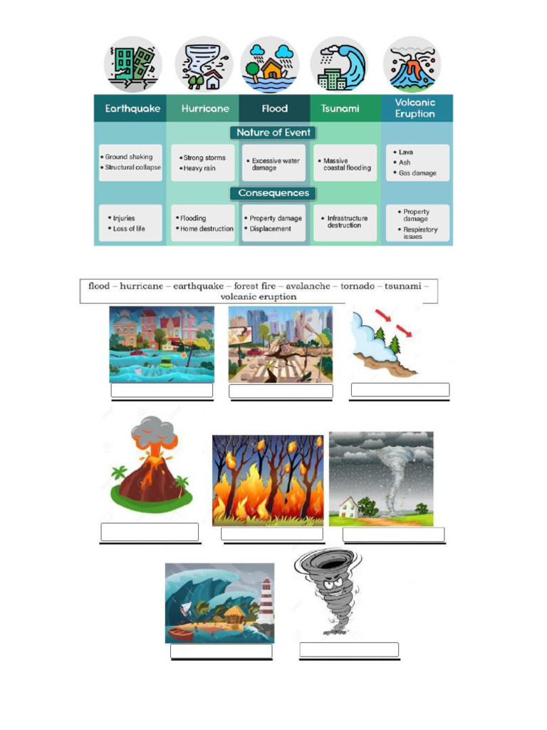 Natural Disasters Worksheet | PDF