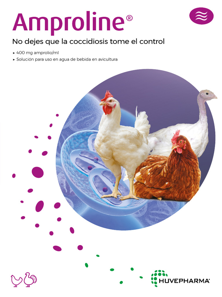 Amproline+Brochure+ (4p) +ES01 0623+r3-2+preview | PDF | Agua | Química