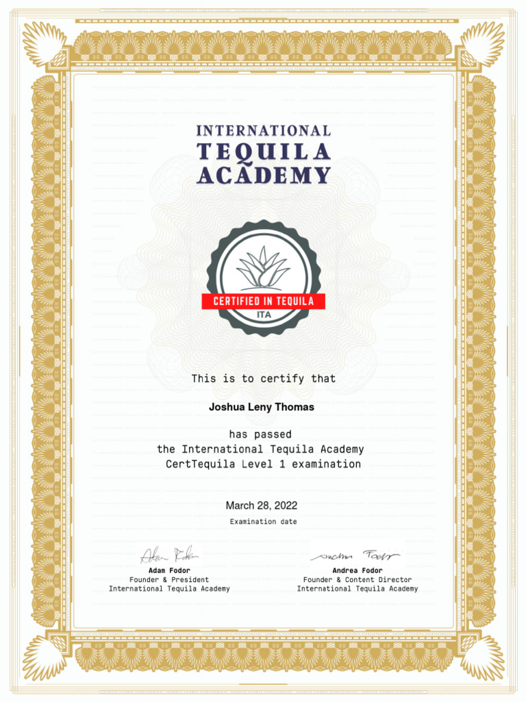 Joshua Leny Thomas LVL 1 Final Certification Quiz View My Level 1 Certificate International ...