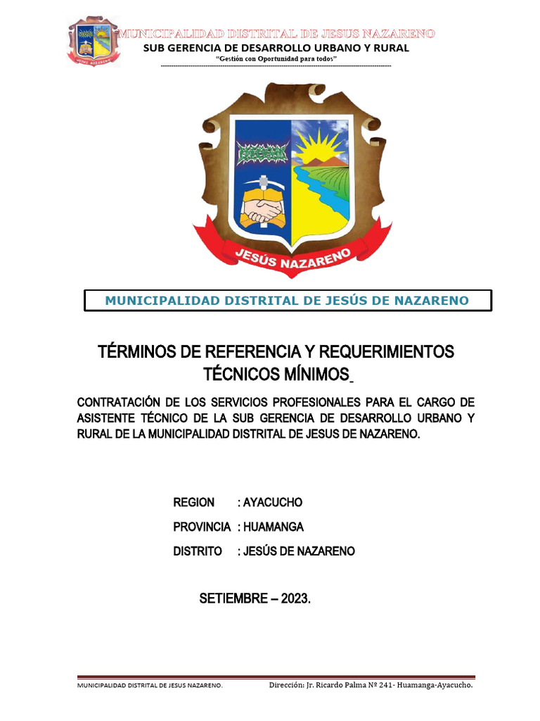TDR - Asistente Tecnico | PDF | Gobierno local