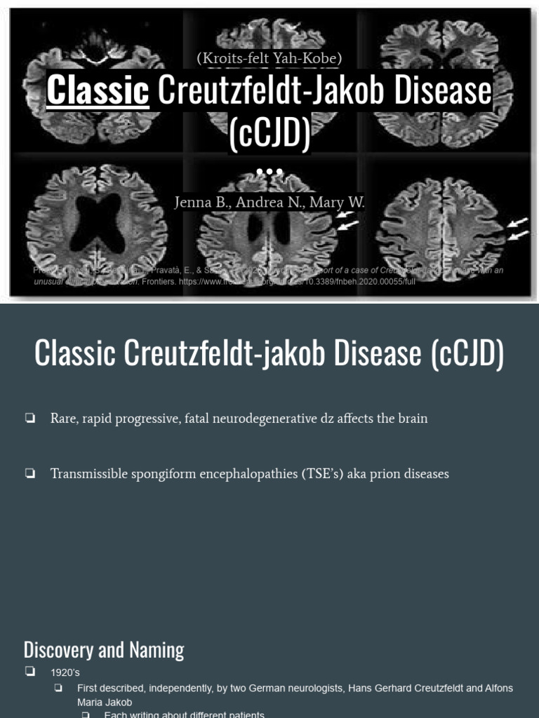 CCJD Patho Presentation 11 2 23 | PDF