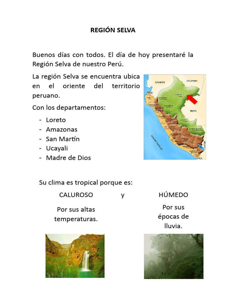 Exposición sobre la Región Selva peruana | PDF