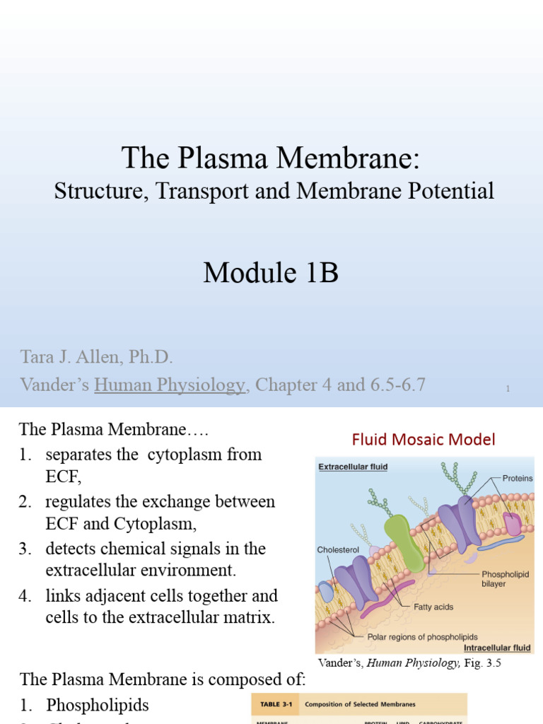 Module 1B- Ch. 4 (Membrane Structure and Transport) 2023 | PDF | Membrane Potential | Cell Membrane
