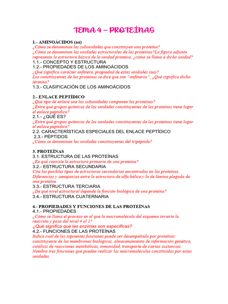 B2 Tema 4 Proteinas | PDF | Enzima | Alpha Helix