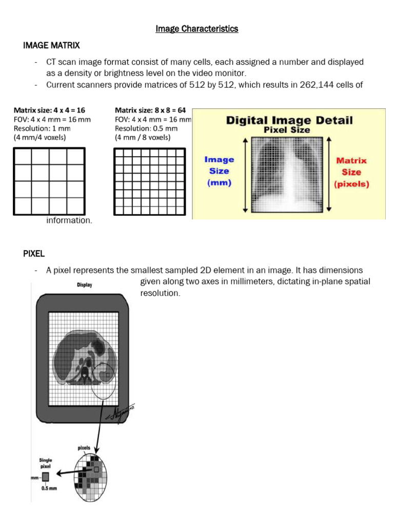 RDT115 - Image Characteristics | PDF | Pixel | Ct Scan
