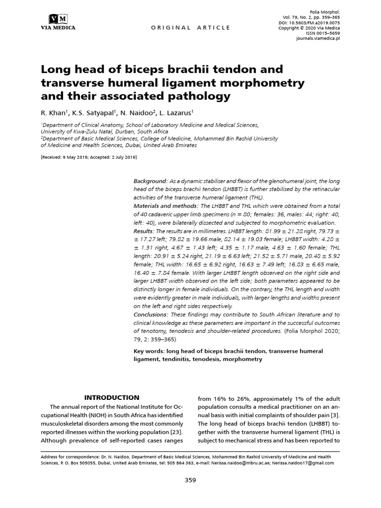 Biceps y Ligamento Trasnverso Humeral | PDF | Shoulder ...