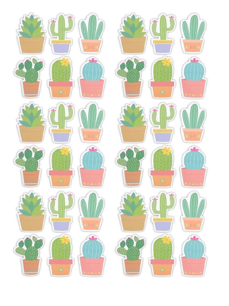 CACTUS | PDF