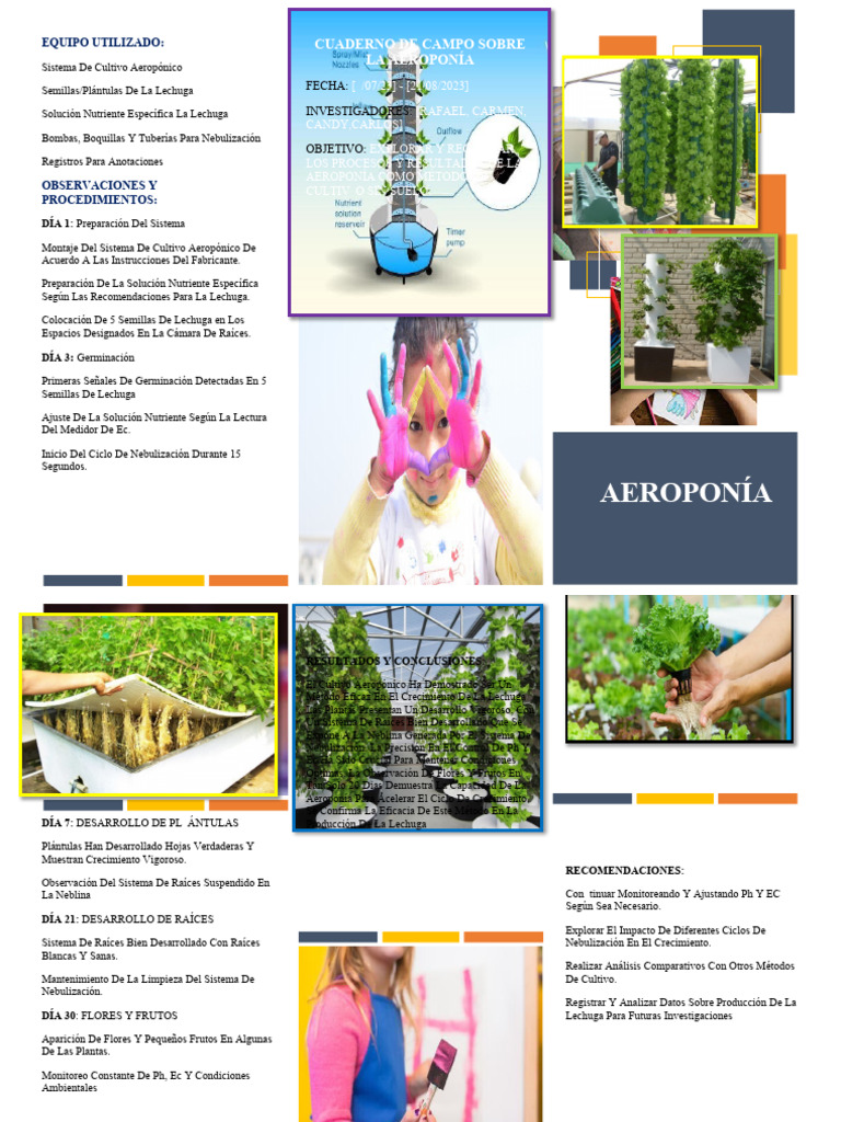 aeroponia | PDF | Lechuga | Plantas