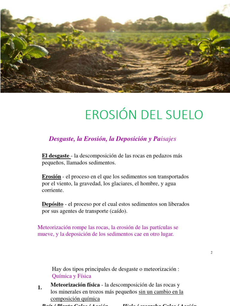 Erosión del Suelo: Procesos y Tipos | PDF | Suelo | Erosión