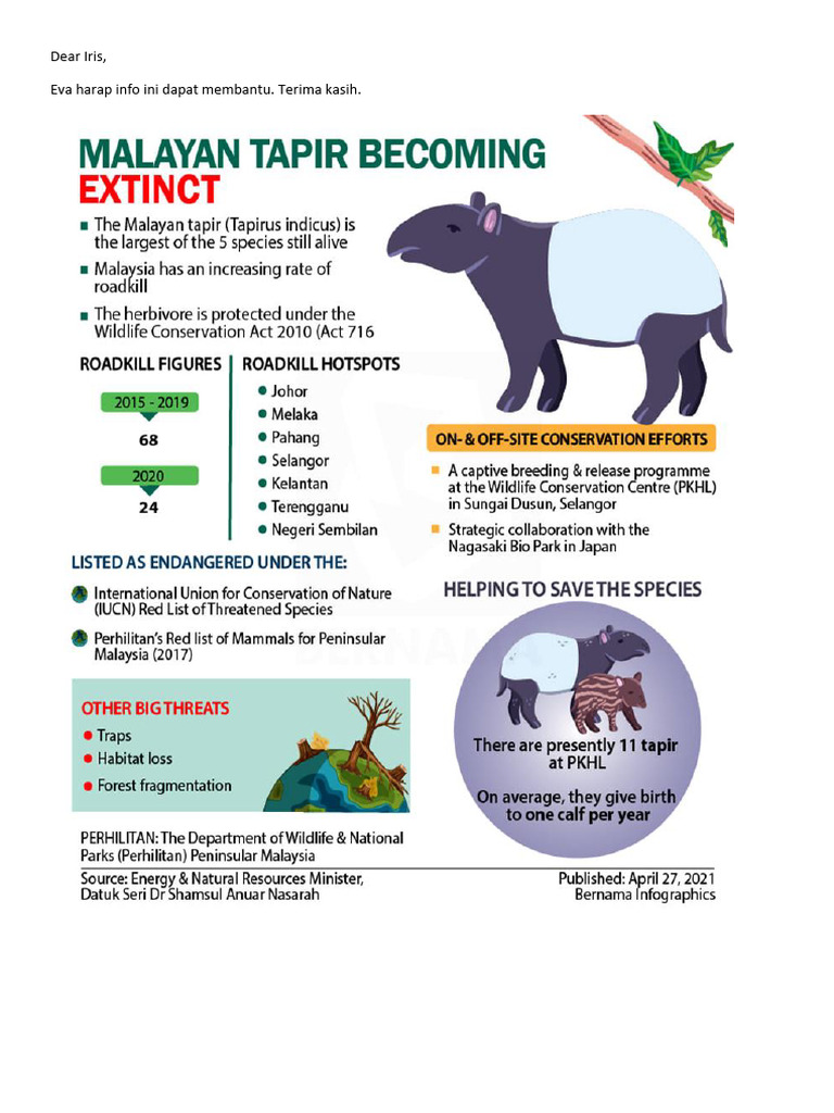 Ways To Save Our Malayan Tapir | PDF | Natural Environment | Extinction