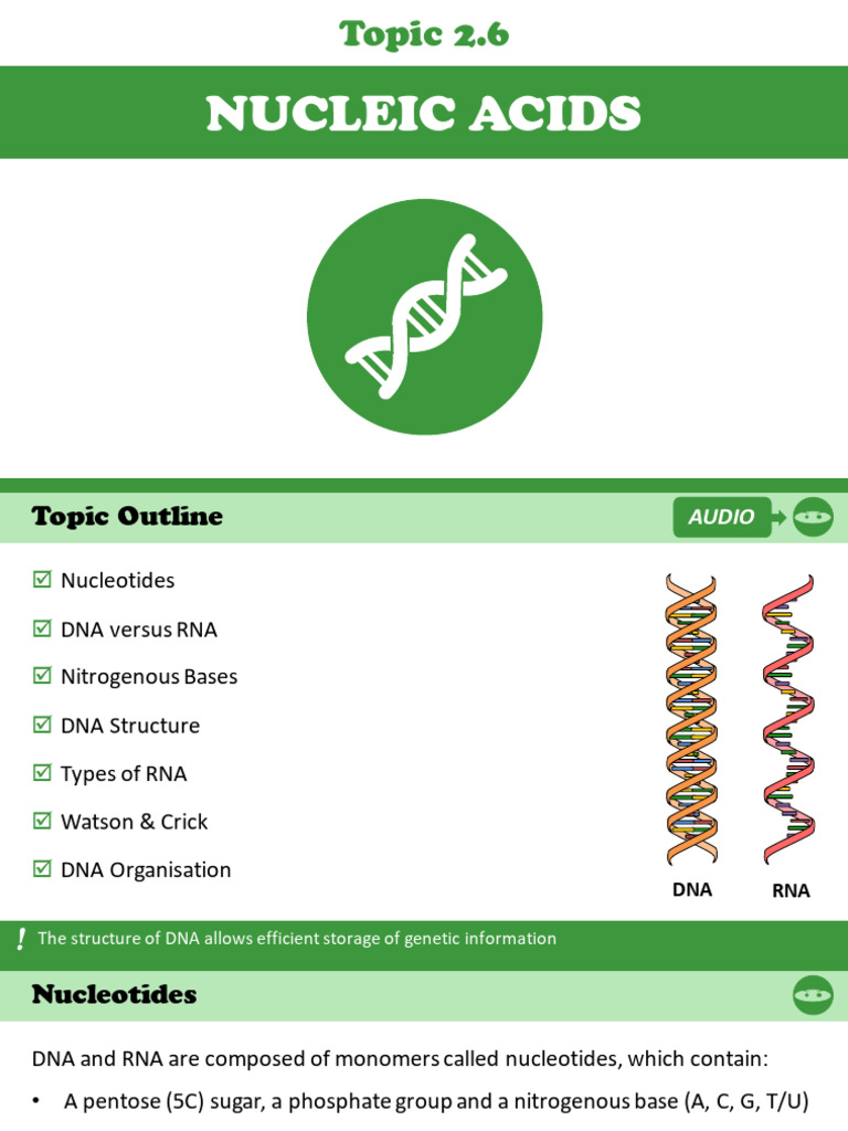 PowerPoint Presentation 2.6 | PDF | Dna | Nucleic Acids