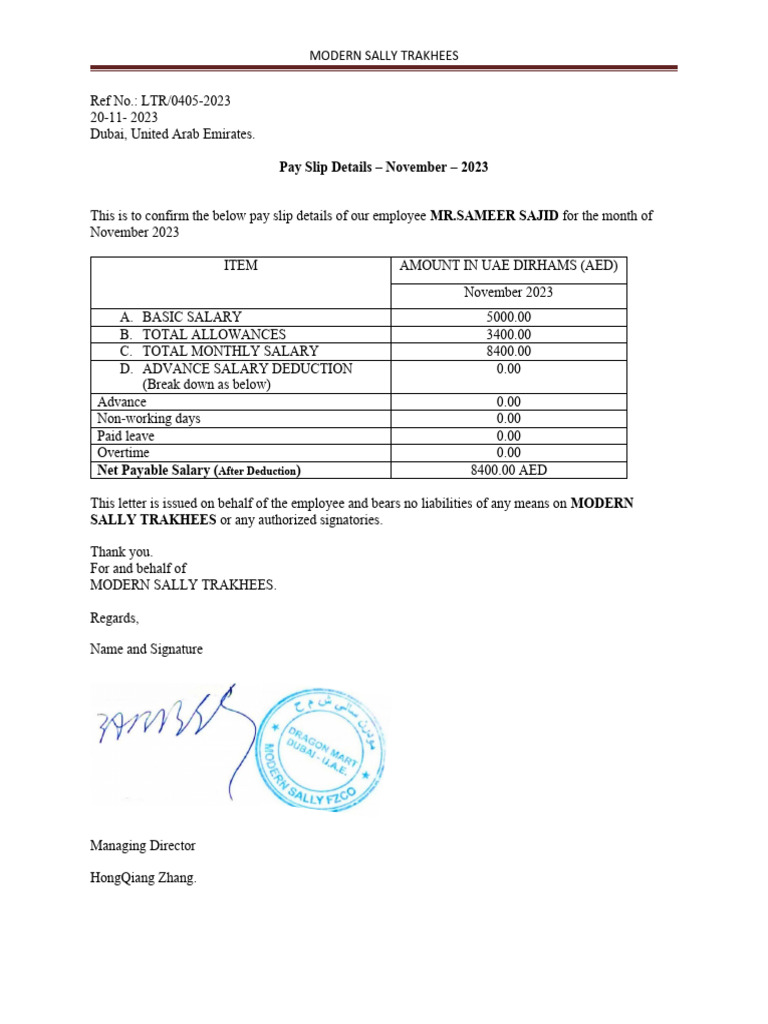 Sameer Payslip | PDF