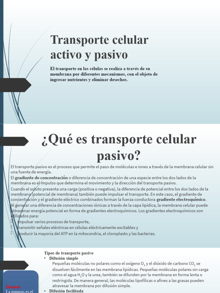 Transporte Celular: Activo y Pasivo | PDF | Bicapa lipídica | Biofísica