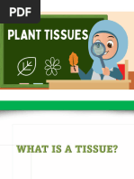 Tissues - Ppt - Grade 9 (1) | PDF | Epithelium | Tissue (Biology)
