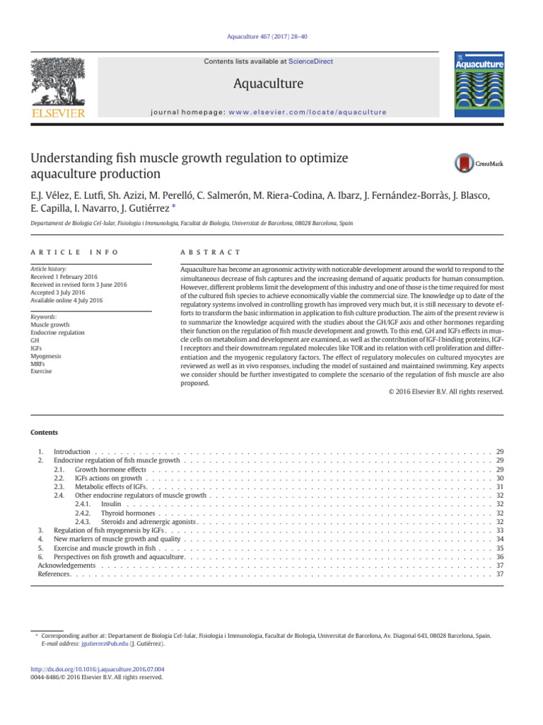 Fish Muscle Growth in Aquaculture | PDF | Insulin Like Growth Factor 1 ...