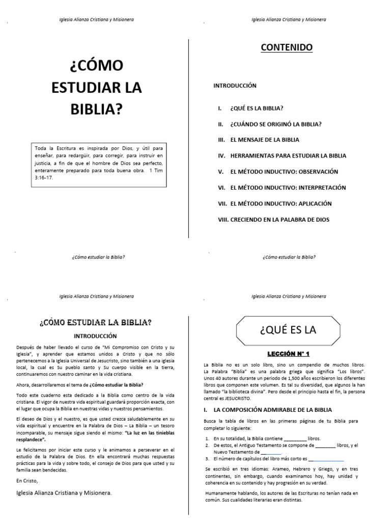 Cómo Estudiar la Biblia Eficazmente | PDF | Biblia | Evangelio de Marcos