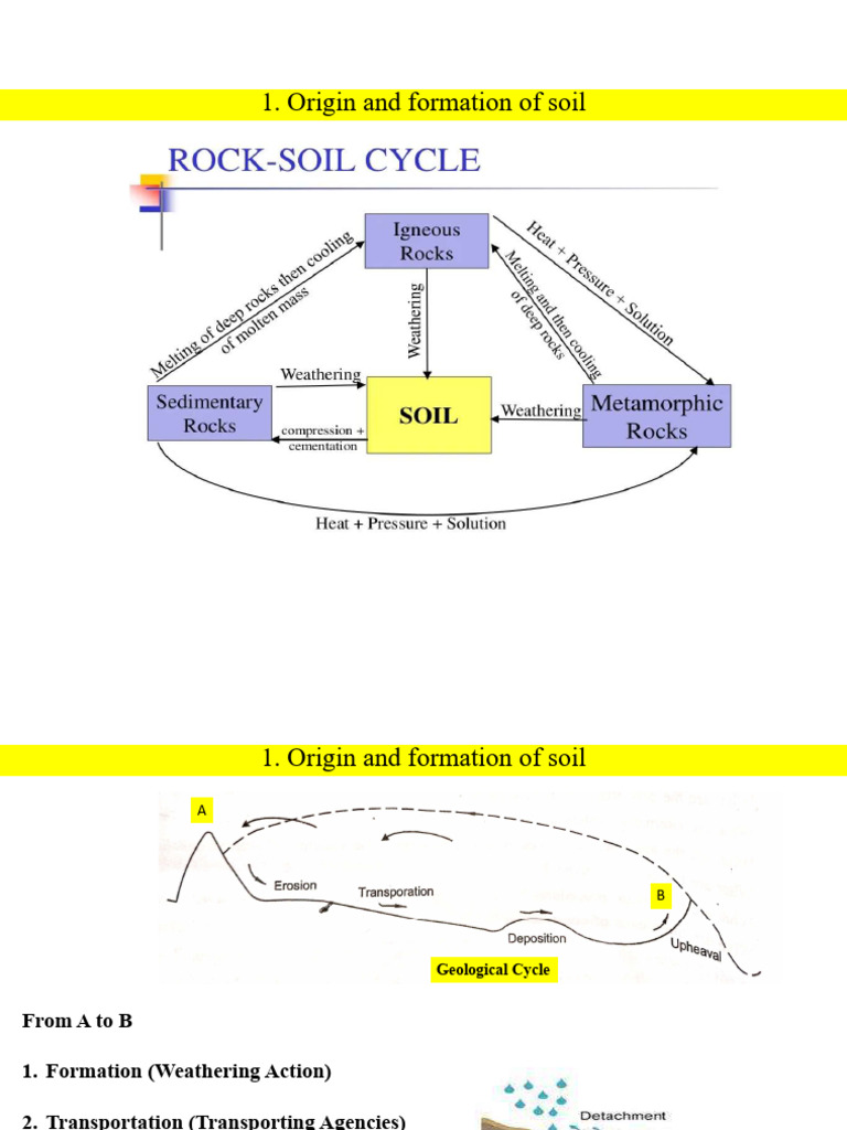 Soil formation | PDF