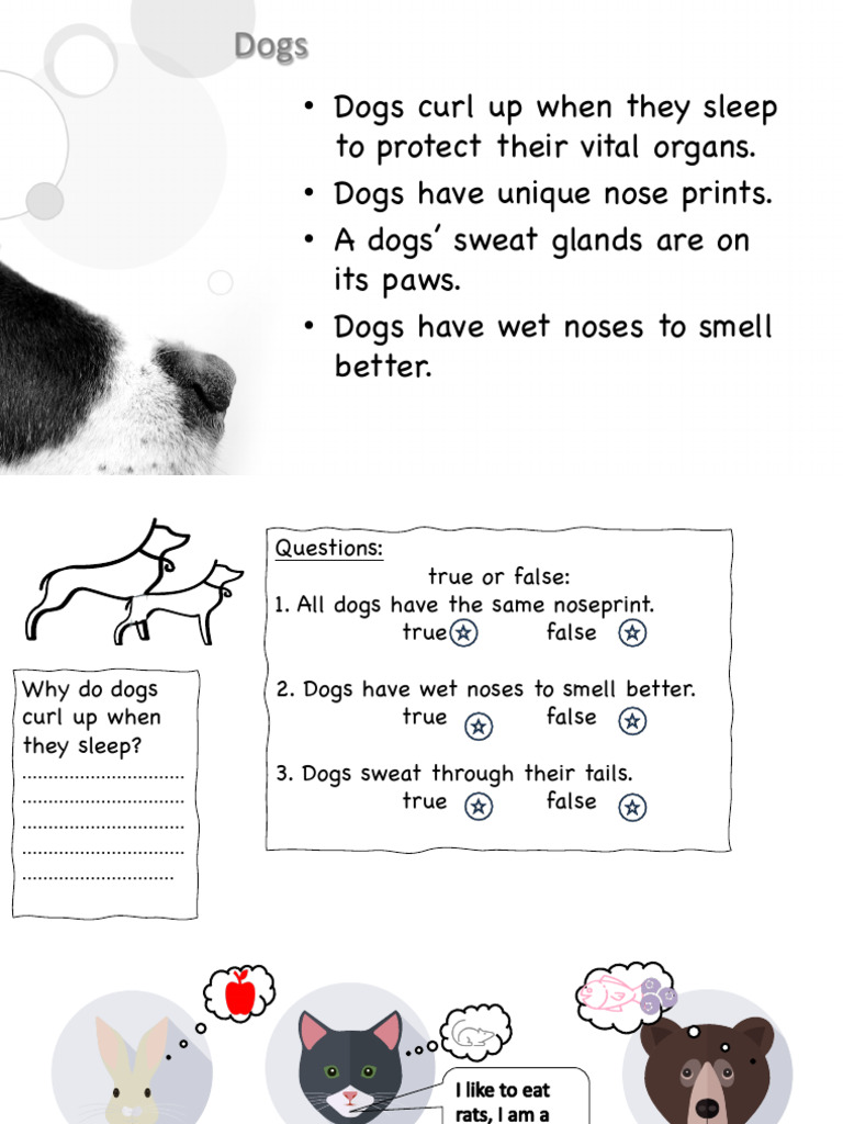 Dogs - Worksheet | PDF | Dogs | Cats