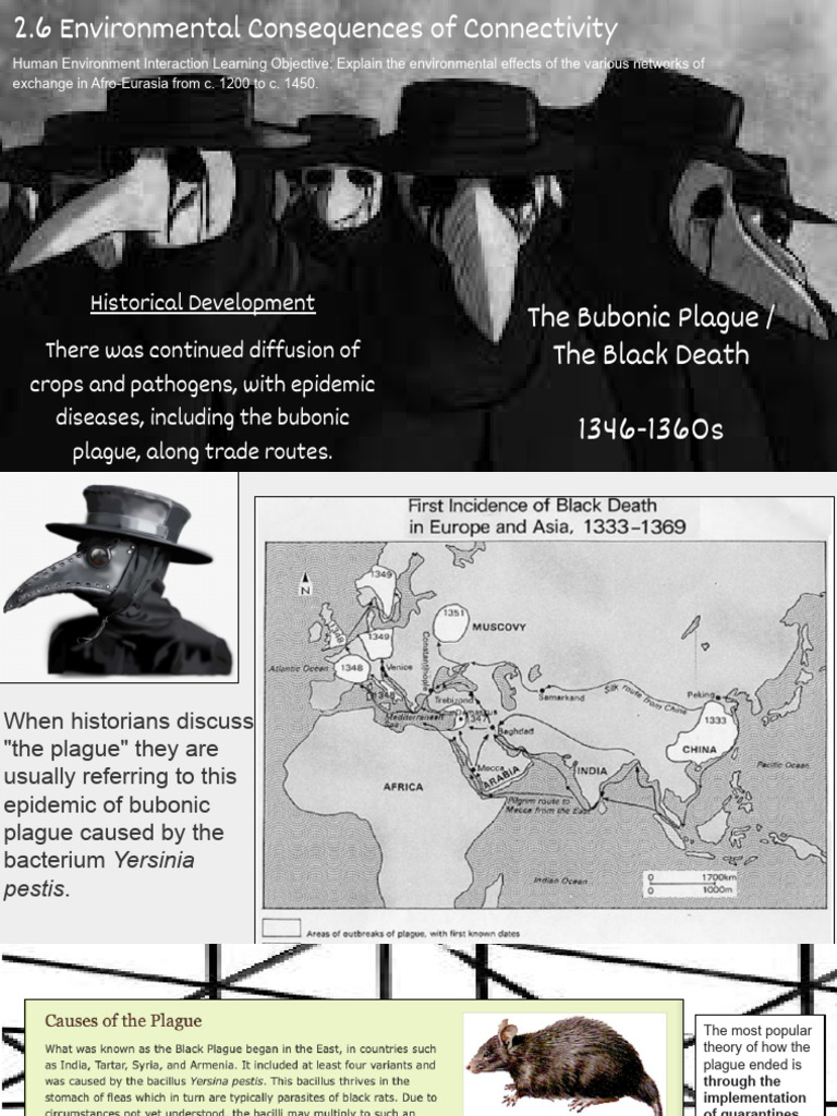 The Bubonic Plague Brown 1 | PDF | Black Death | Asia