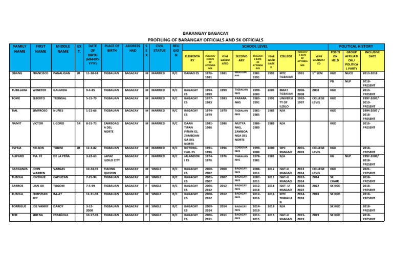 Profiling of Brgy Officials and SK Officials | PDF