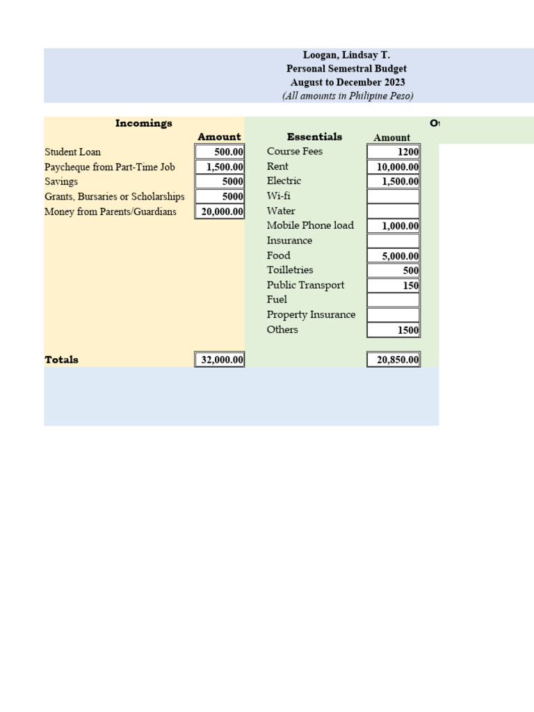 Sample Budget Plan Using Chart | PDF | Economies