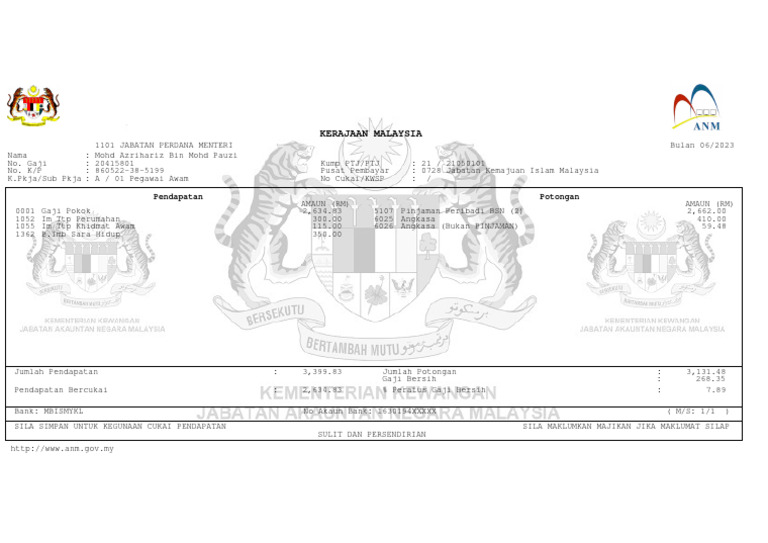 Government Payslip | PDF